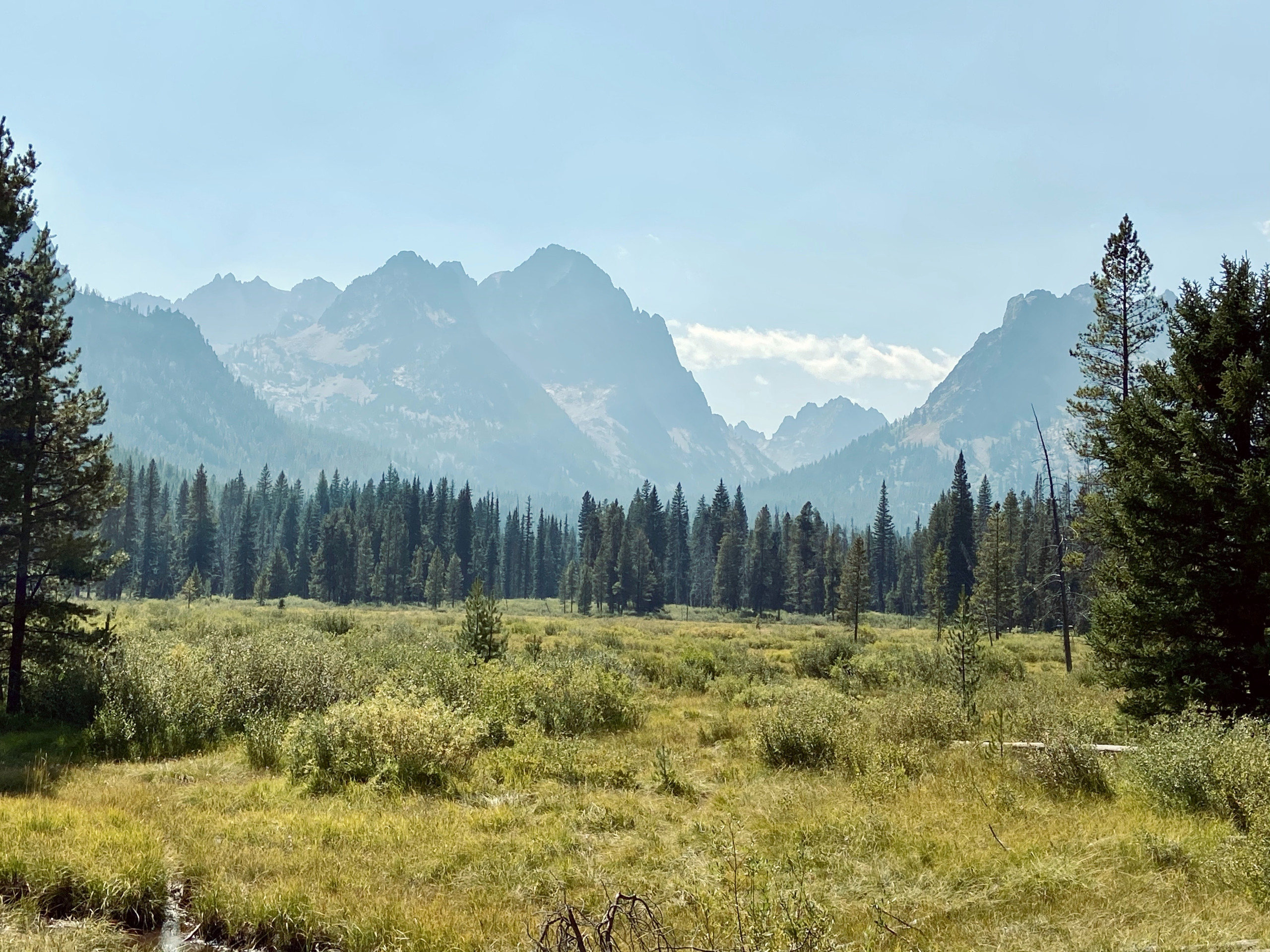 Guide to Inheriting Land in Idaho - Pine Top Land